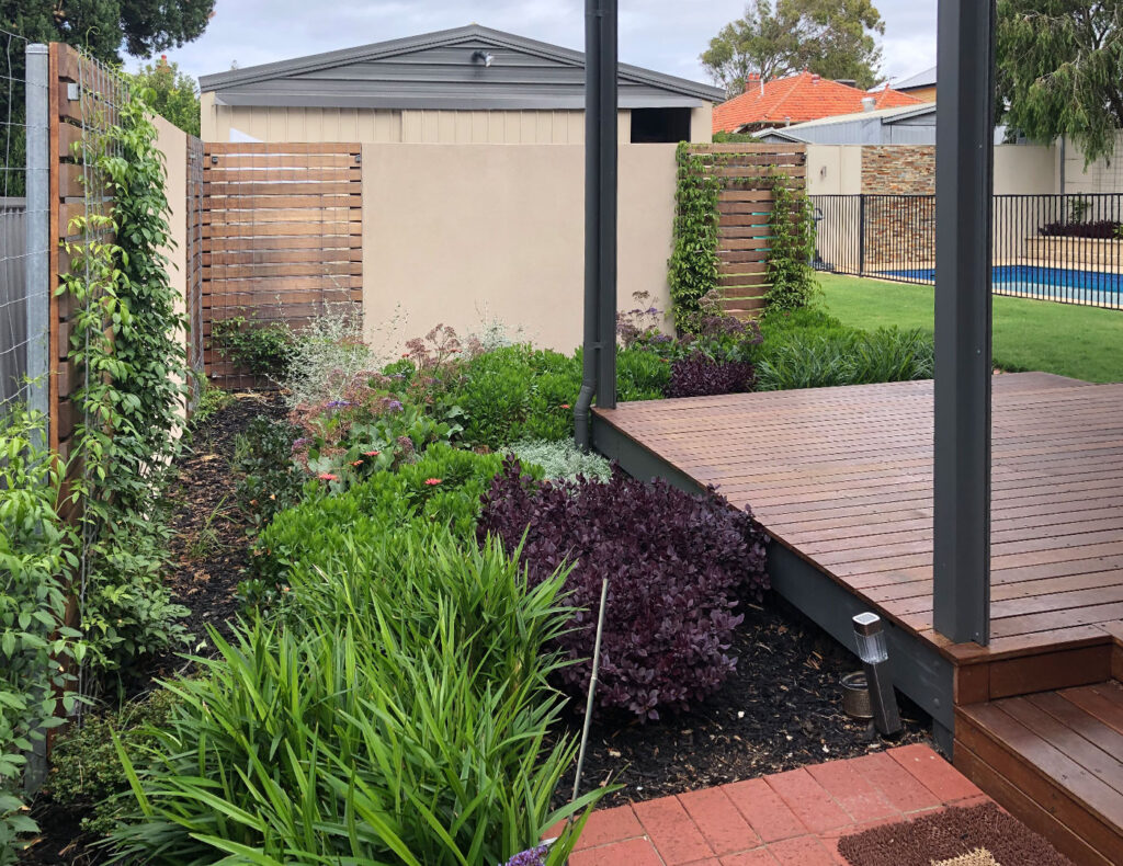 Landscaping Ideas Adelaide | Front & Backyard Garden Ideas